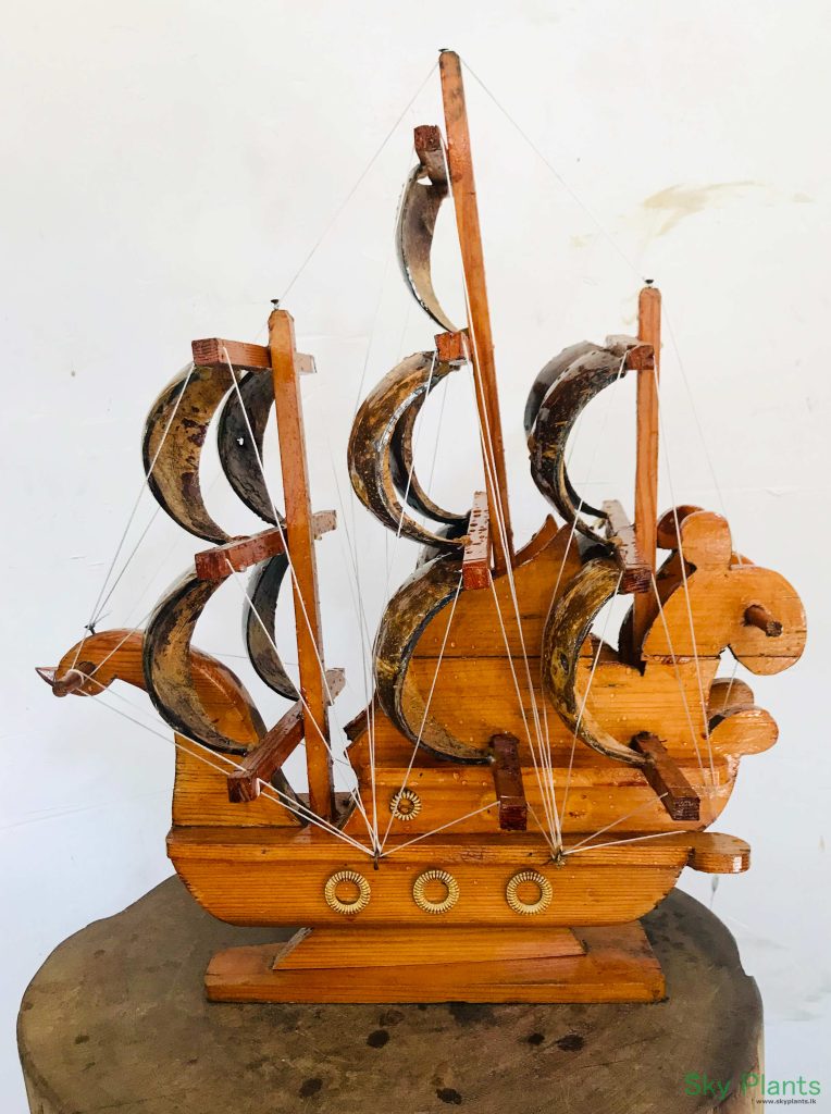 Coconut Shelves Sailing Ship - SkyPlants