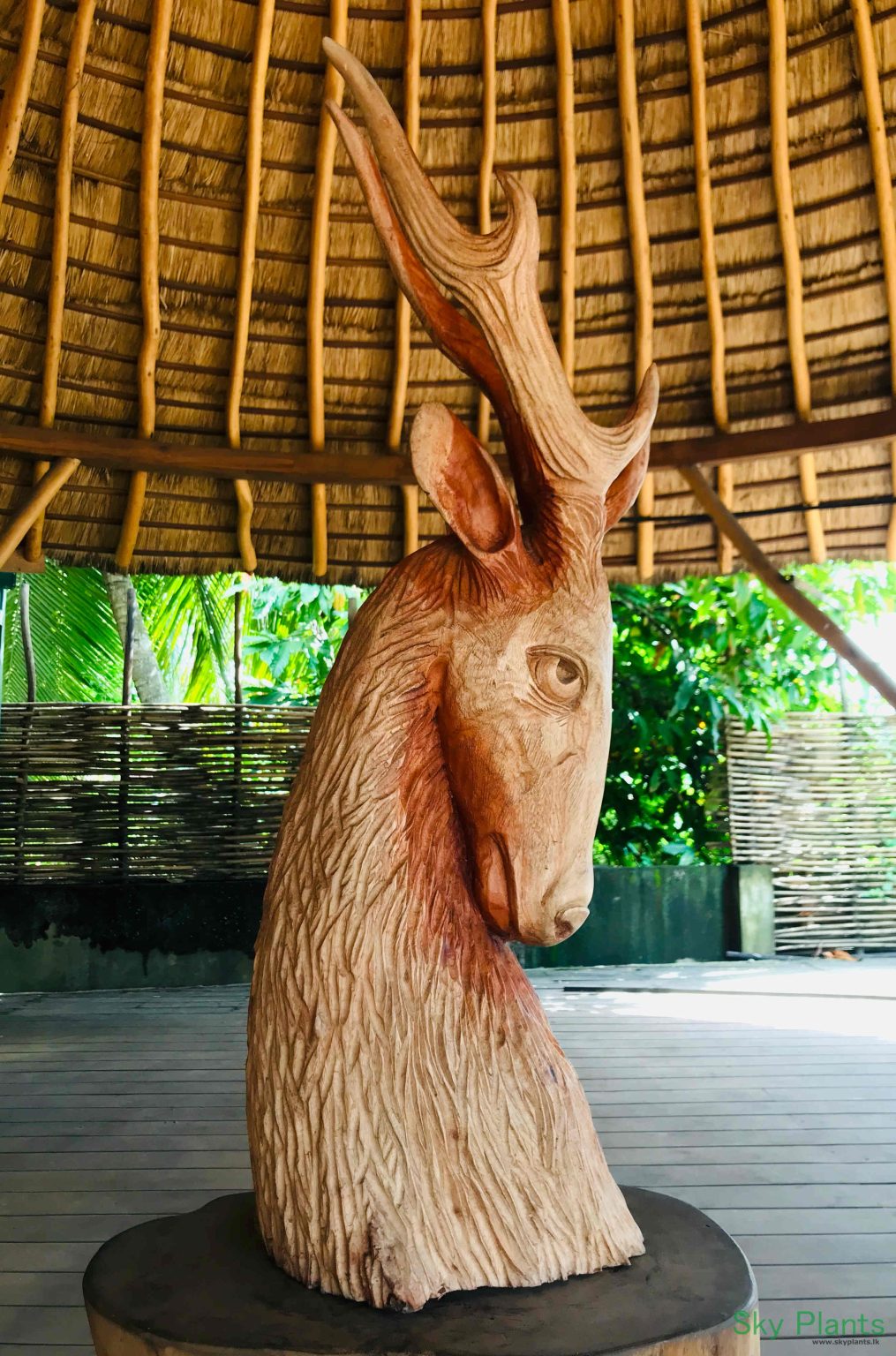 Gona Statue - SkyPlants